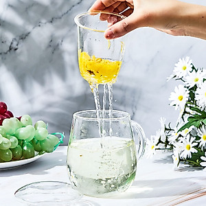 Rtteri Set of 2 Glass Tea Cup with Infuser and Lid 17.6 oz Clear Glass Mugs Thickened Glass Tea Infuser Cup Simple Filtration Teacups for Tea Bag Loose Leaf Tea Blooming Tea