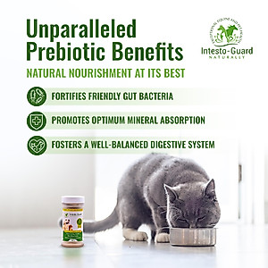 INTESTO-GUARD Probiotic Pet Supplement Prebiotic & Probiotics for Dogs & Cats Bowel, Digestive & Immune Support Supports Gut Flora, Nutrition - 180G Powder, 90 Day Supply (6 Pack) - All-Natural