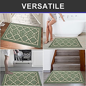 Indoor Door Mat, Non-Slip Mats Rubber Backing Front Back Door Mat, Low-Profile Entrance Rug, Absorbent Resist Dirt Doormat Machine Washable Inside Floor Shoe Doormats for Entryway (Green, 20"x32")