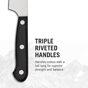 Victorinox Swiss Army 3-Piece Gourmet Cheese Knife Gift Set