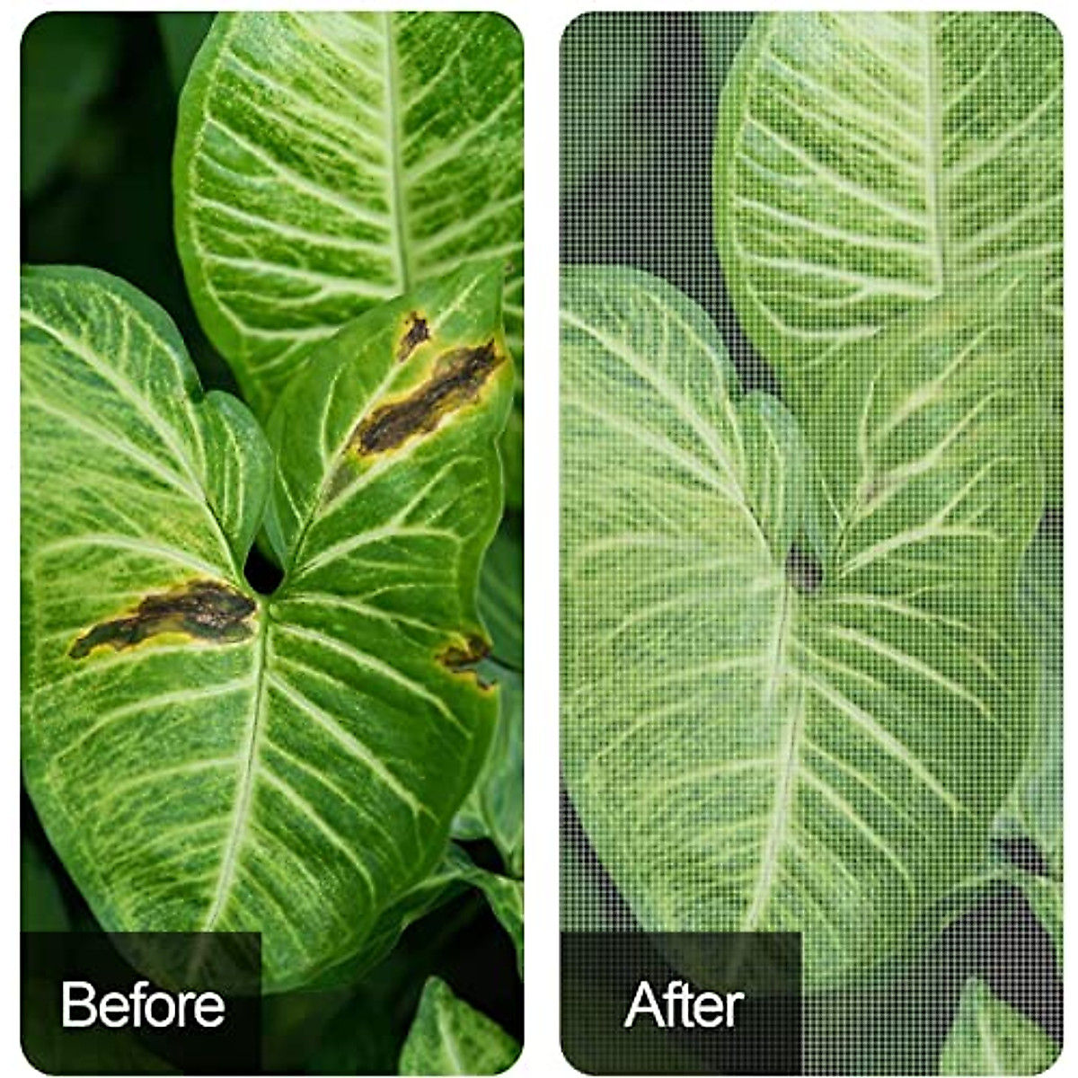 PURPLE STAR 1N 6x7 Feet Insect Bird Barrier Netting Mesh with Drawstring-Garden Bug Netting Plant Cover for Protect Plant Fruits Flower from Insect Bird Eating