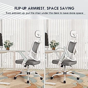 Furmax Office Chair Mesh Desk Chair Ergonomic Chair with Adjustable Headrest and Flip-up Armrests, Swivel Computer Chair with Comfortable Back and Lumbar Suport (Grey)