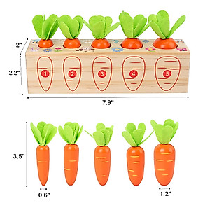 Xylolin Montessori Toys for Toddlers 1-3, Carrots Shapes Sorting and Matching Game Wooden Toys, Fine Motor Skill Early Learning Preschool Educational Toys Gifts for 1 2 3 Year Old Boys Girls
