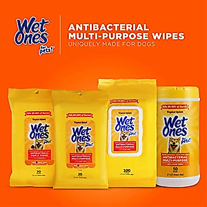 Wet Ones for Pets Multi-Purpose Dog Wipes with Aloe Vera, 50 Count - 3 Pack | Dog Wipes for All Dogs in Tropical Splash, Wipes for Paws & All Purpose