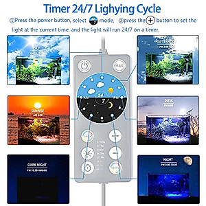 Uelfbaby Super Bright LED Aquarium Light 24/7 Mode 24W for 18"-24" Fish Tank (10/15/20 Gallon Tank), Full Spectrum Fish Tank Light with Adjustable Timer On/Off, 7 Colors Adjustable Brightness