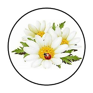 without brand Set of 48 Envelope Seals Labels Daisy Flower Ladybug 1.2" Round Sticker
