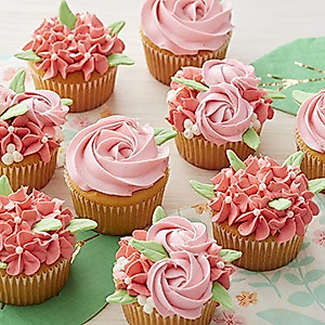 Wilton Piping Tips for Cake & Cupcake Decorating, 55-Piece Cake Supply Master Decorating Tip Set, Metal Tips