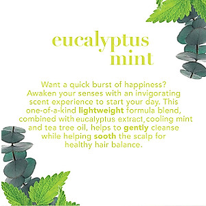 OGX Intensely Invigorating + Eucalyptus Mint Conditioner, 13 Ounce