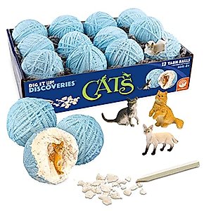MindWare Dig It Up Discoveries: Cats – Party-Sized 12-Pack of Educational Discovery Digs for Kids with Tools & Fun Facts – Learn All About Cats!