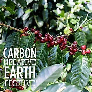 Tiny Footprint Coffee - Signature Blend, Light Roast, USDA Organic Coffee - Whole Bean Coffee, Fair Trade, Shade Grown & Carbon Negative - You Drink Coffee, We Plant Trees, 3 Pounds