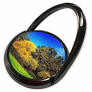 3dRose Dylan Seibold - Photo Abstraction - Afternoon Field FACE - Phone Rings (phr_358993_1)