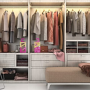 ShengKou - Effective and Refillable Dual Moth Pheromone Traps, Ultimate Solution to Clothes & Pantry Moth Control -4 Pack