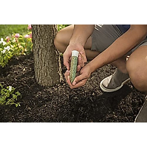 Miracle-Gro Fertilizer Spikes for Fruit and Citrus Trees, 12-Pack (Not Sold in Pinellas County, FL)