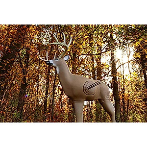 Shooter Buck 3D Deer Archery Target with Replaceable Core, brown