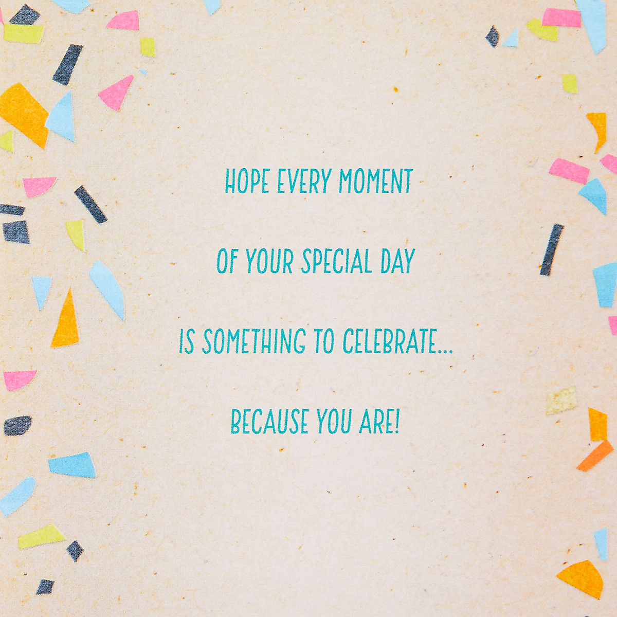 Hallmark Birthday Card (Birthdays Are the Confetti of Life)