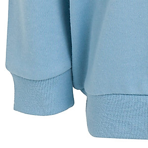 Disney Lilo & Stitch Little Boys Fleece Pullover Hoodie 6