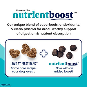 Solid Gold Dry Puppy Food w/Nutrientboost - Made with Real Chicken & Nutritious Superfoods - Love at First Bark Grain Free Puppy Dry Food for Healthy Growth, Energy and Gut Wellness - 3.75 LB Bag
