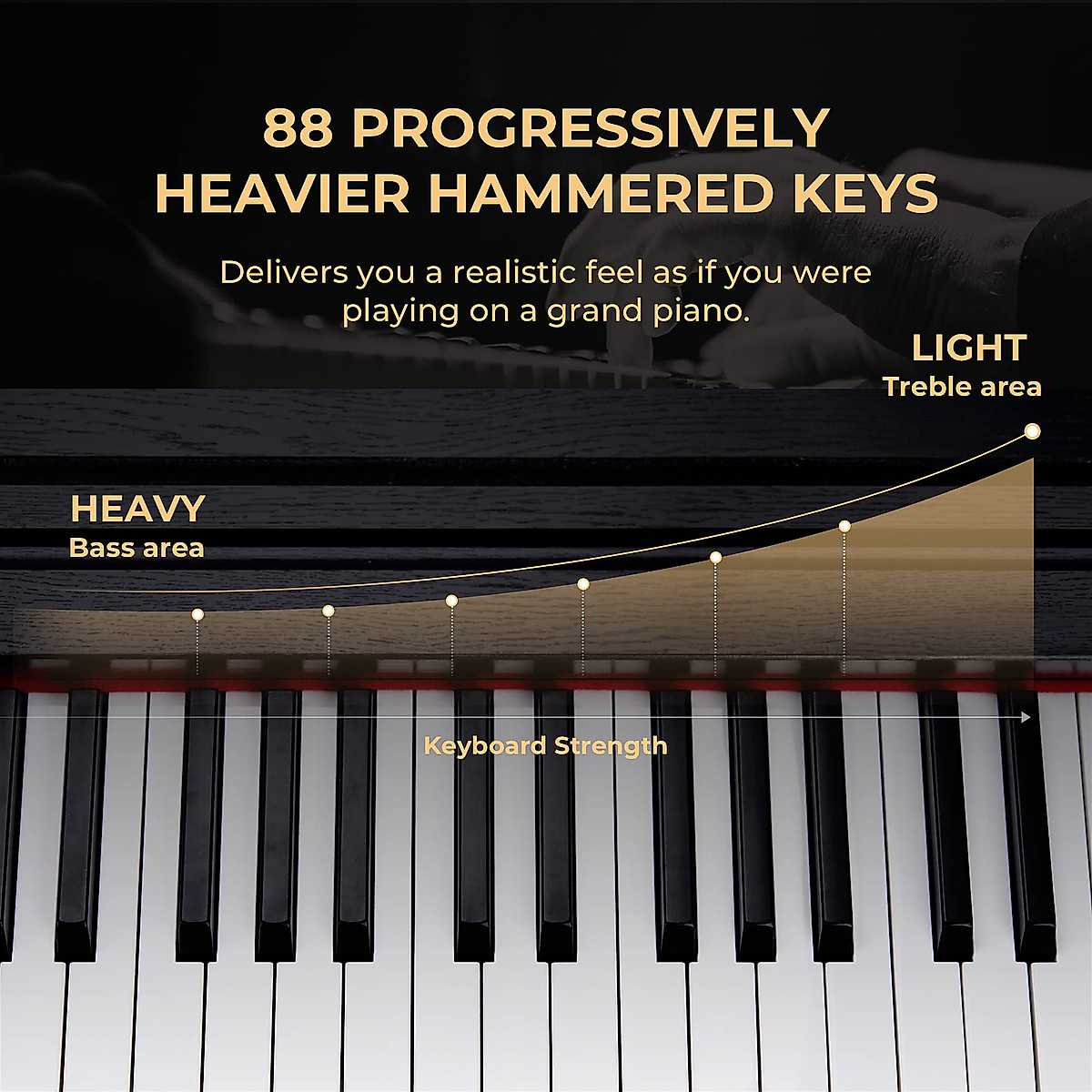 Lexington 88 Key Beginner Digital Piano Weighted for Adults Kids, Portable Wooden Electric Piano Keyboard Full Size with Graded Hammer Action, Sustain Pedal and Power Supply, Black