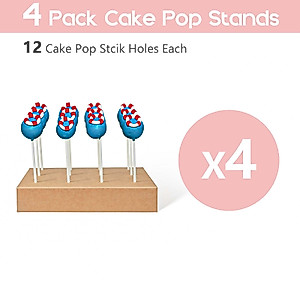 Vowcarol Cake Pop Holder Boxes Cake Pop Display Stand with Cover Candy Apple Boxes with Hole Cake Pop- 4 Packs 4 PCS