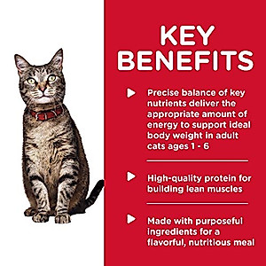 Hill's Science Diet Adult 1-6, Adult 1-6 Premium Nutrition, Wet Cat Food, Turkey & Liver Minced, 5.5 oz Can, Case of 24