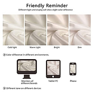 Silk Pillowcase for Hair and Skin,Mulberry Silk Pillow Case,Health,Soft and Smooth,Anti Acne,Beauty Sleep,Both Sides Natural Silk Pillow Covers with Hidden Zipper for Gift（Standard Size,Haze Blue）