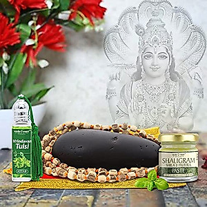 Vedic Vaani Gandaki Lord Vishnu Shila Shaligram (Pack of 4)