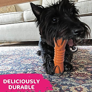 TastyBone Dental Bone Dog Chew Toy (One Size) (Cinnamon Mint)