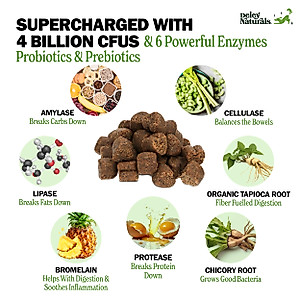 Deley Naturals Probiotics (120 Chews) + Wild Caught Fish Oil (32 oz) for Dogs - Omega 3-6-9, GMO Free - Made in USA