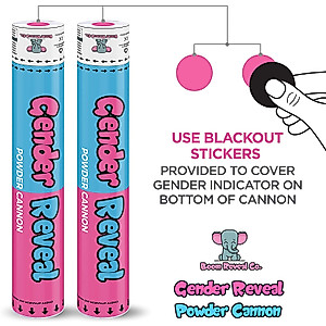 Boom Reveal Co. | Gender Reveal Powder Cannons, Pink OR Blue Set of 2 (18 inch) Gift Ready, Party Popper, Baby Shower Announcement Boy or Girl Decorations (Pink)