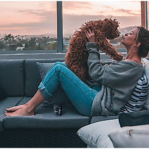 iCalmDog Reggae | by Through a Dog's Ear | Happy Jamaican Rhythms | Micro SD Sound Card | Proven Dog Anxiety Solution