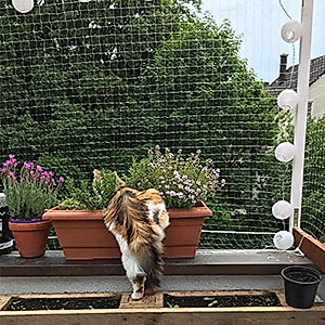 YOKMO Cat Balcony Net Cat Anti-Fall Fence Net Dog Fence Nets Transparent Nylon Pet Mesh Fence Anti-Fall Netting for Balcony Window Stairs Netting for Balcony Window Stairs（1033ft