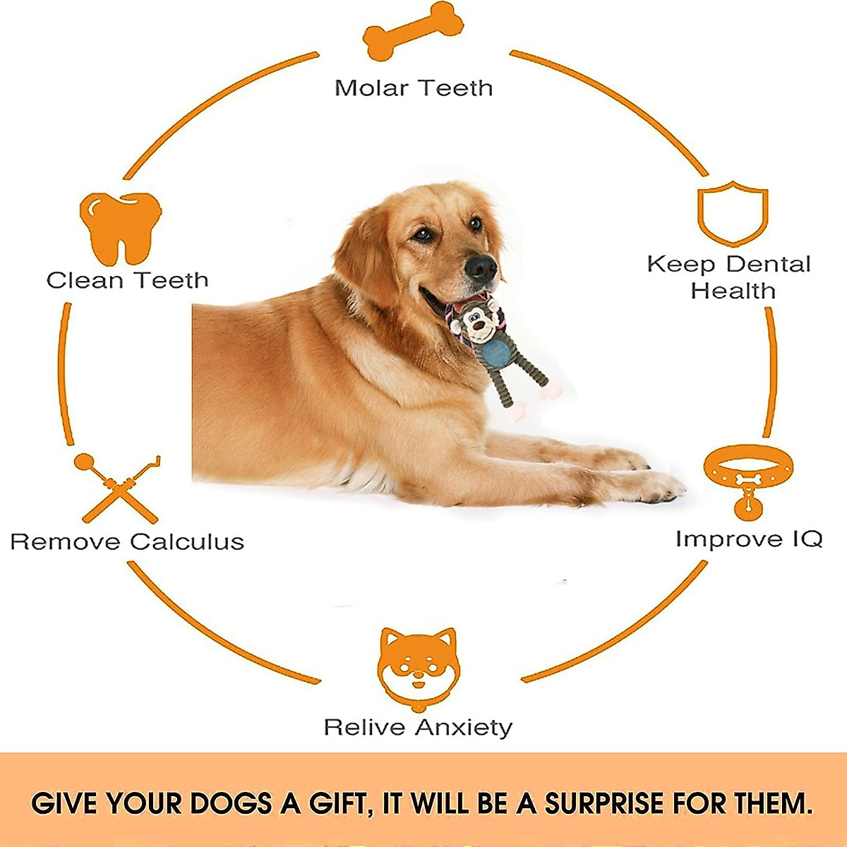 BODLYL Squeaky Plush Dog Toys Pack for Puppy, 2 Pack Durable Stuffed Animal Plush Chew Toys with Squeakers, Cute Soft Dog Toys for Teeth Cleaning, Interactive Dog Toys for Small, Medium Dogs (Set 2)