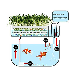 Hydroponic Garden Aquaponic Fish Tank Plants Growing System Self-Cleaning Seed Sprouter Tray