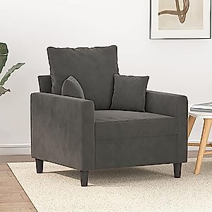 ULUYYUC Sofa Chair,Lounge Sofa Modern Sofa Funky Sofa Living Room Furniture with Armrests Suitable for Living Room Apartment Home Office Dark Gray 23.6" Velvet