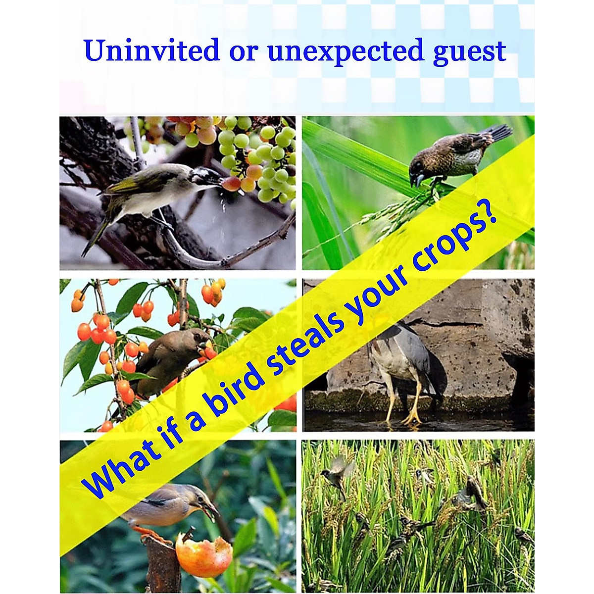 Whtawtaw 2 Rolls 328 FT Bird Scare Tape Ribbon, Deterrent Visual Audible Reflective Tape to Keep Away Birds, Holographic Double Sided Flash Tape for Outdoor, Garden, Balcony