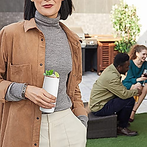 Snowfox Insulated Stainless Steel Highball Cocktail Glass/Drink Tumbler, 14.5-ounce, Set of 2, Black/Gold