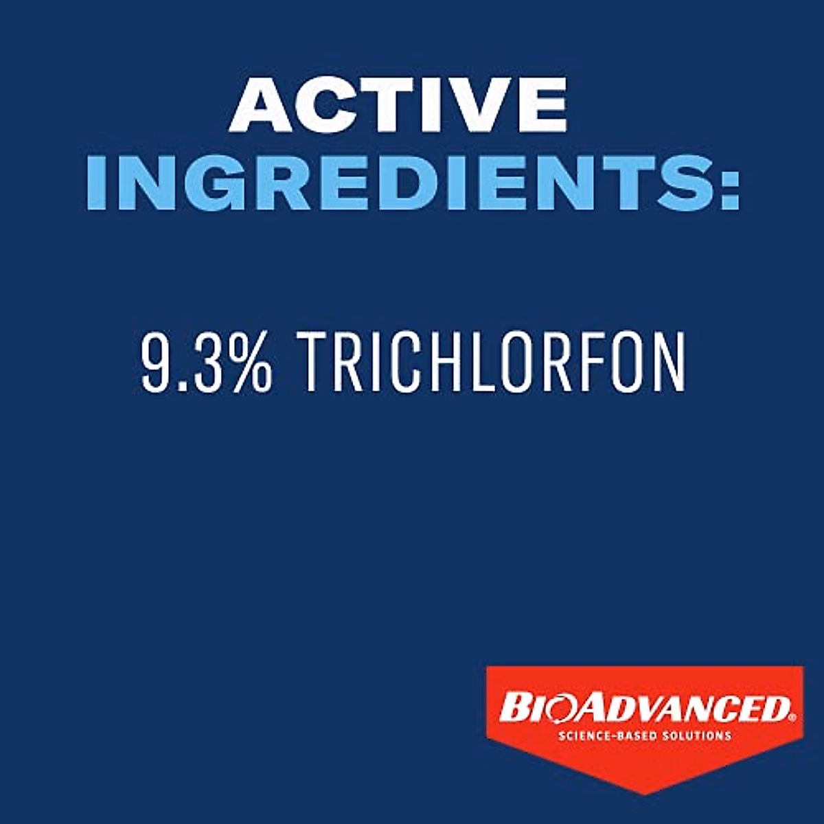 BioAdvanced 24 Hour Grub Killer Plus, Granules, 10 lb