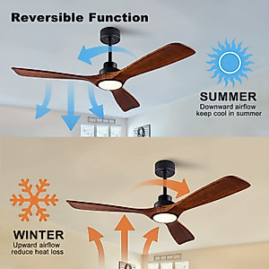 QUTWOB 52" Wood Ceiling Fan with Lights Remote Control,Quiet DC Motor 3 Blade Ceiling Fans for Patio Living Room, Bedroom, Office,Indoor Outdoor(Black+Dark Walnut)