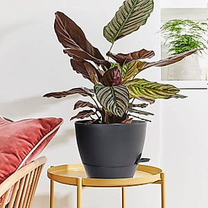 WOUSIWER 10 inch Self Watering Planters, 2 Pack Large Plastic Plant Pots with Deep Reservior and High Drainage Holes for Indoor Outdoor Plants and Flowers, Black