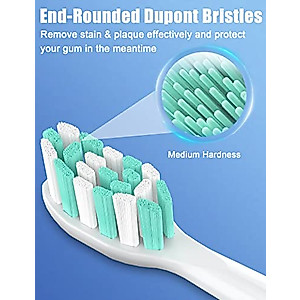 Toothbrush Replacement Heads for Philips Sonicare ProtectiveClean DailyClean Electric Toothbrush Head 1 2 Series Plaque Control Gum 4100 5100 C1 C2 G2 HX9023 Snap-on, 10 Pack