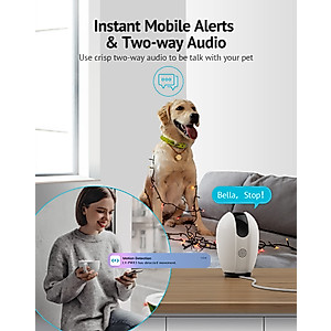 LaView Security Cameras for Home + 2X 32GB SD Cards, PT Baby Monitor System with Motion Detection, Two-Way Audio, Night Vision, Indoor WiFi Camera for Baby/pet, Alexa, USA Cloud Service