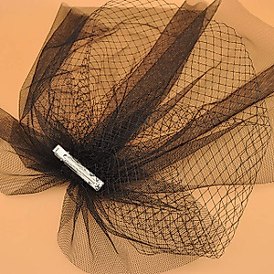 Ayliss Women Mesh Veils Bridal Birdcage Veil Short Wedding Face Veil with Clip Tulle Gothic Bride Halloween Costume Veil (Black)