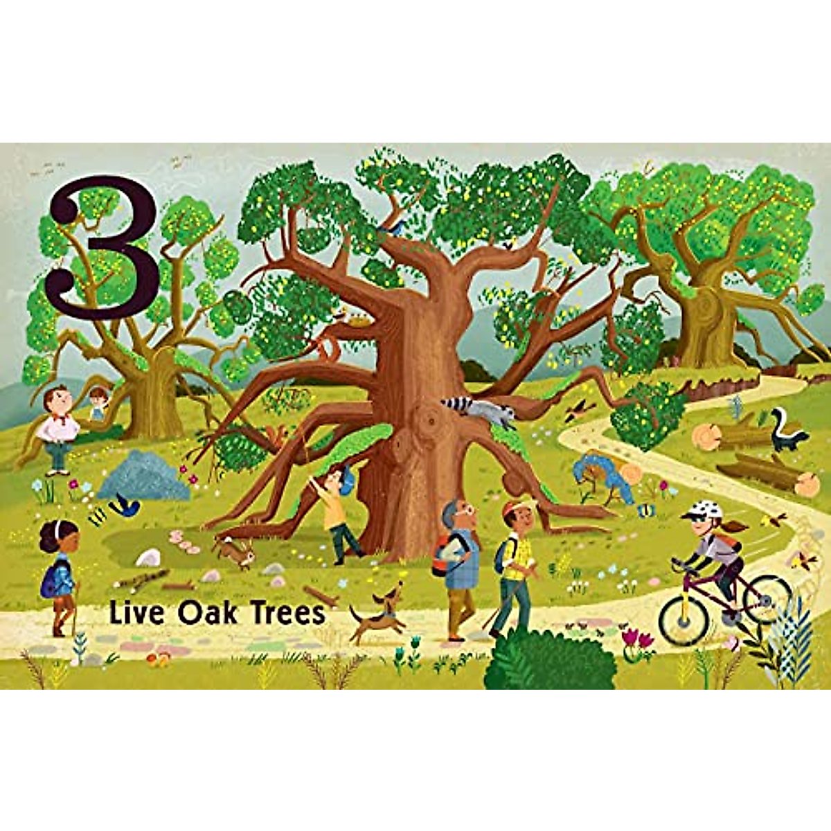 Trees: A Count and Find Primer (BabyLit)