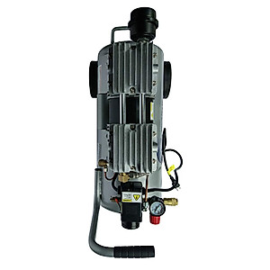 California Air Tools 8010A Aluminum Tank Air Compressor | Ultra Quiet, Oil-Free, 1.0 hp, 8 gal