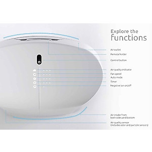 Rabbit Air BioGS 2.0 Ultra Quiet HEPA Air Purifier (SPA-550A White)