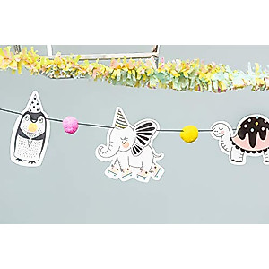 Party Partners Festive Fringe Garland Party Banner, 16.5-Feet, Pastel