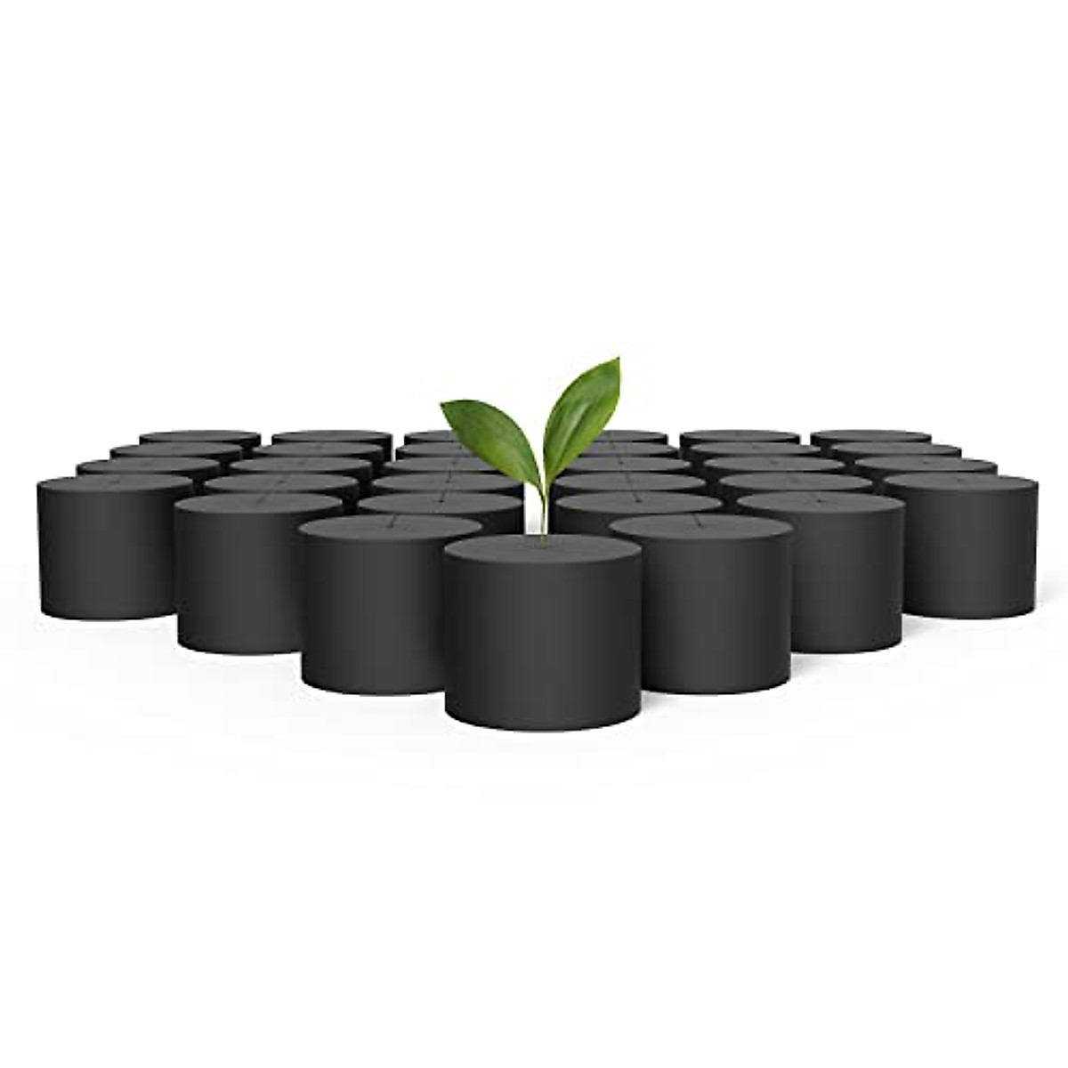 AC Infinity Clone Collar 3-Inch, Cloner Inserts with 8-Spoke Design, 50-Pack for Use with Net Cups in Hydroponics Growing Systems, Aeroponics, Cloning Machines, and Home Gardening