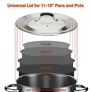 WishDirect 15 Inch Large Universal Pans Pots Lid Cover Fits 11/12/13/14/15" Frying Pans/Pots/Woks, Stainless Steel and Tempered Glass Lid with Vent Hole and Heat Resistant Handle