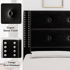 iPormis Queen Size Platform Bed Frame, Velvet Upholstered Bed Frame with Button Tufted & Nailhead Headboard, Wooden Slats Support, No Box Spring Needed, Noise-Free, Black