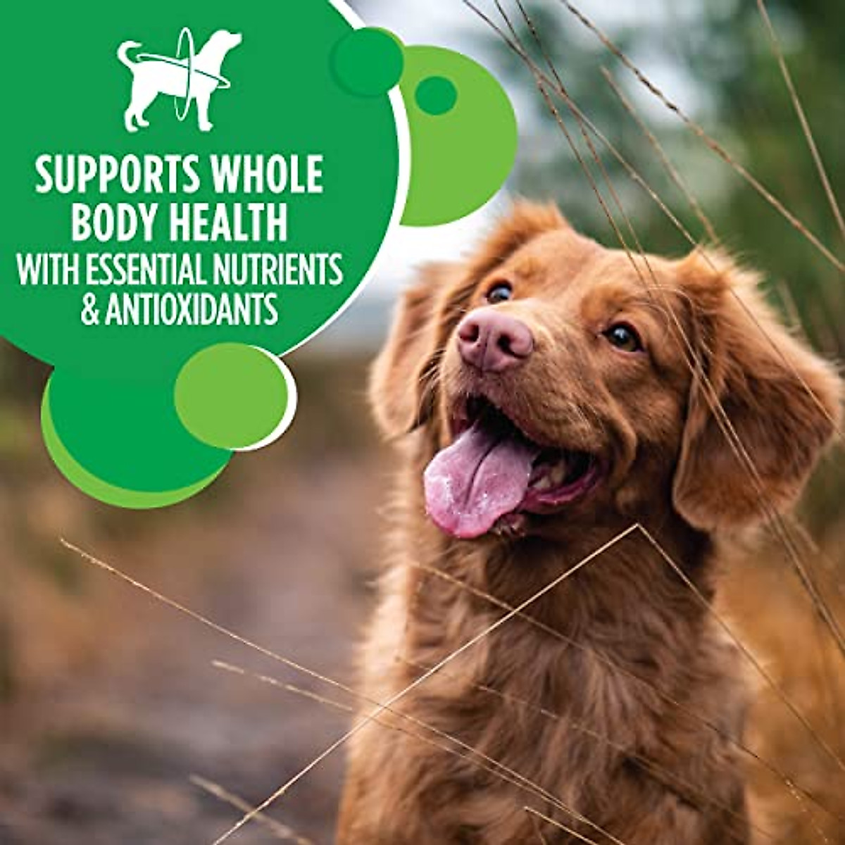 IAMS Adult Minichunks Small Kibble High Protein Dry Dog Food with Real Chicken, 30 lb. Bag